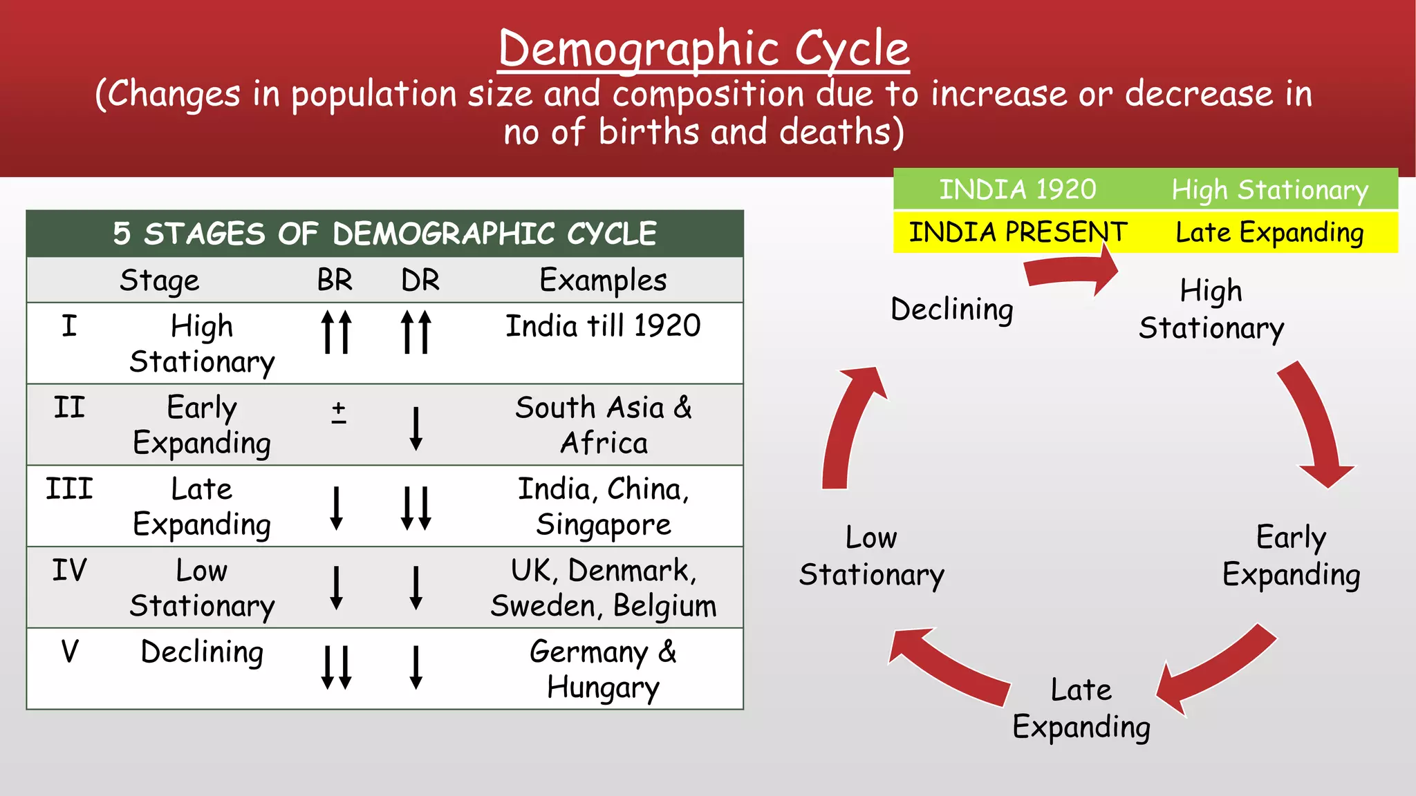 Demography and its indicators | PDF