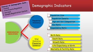 Demography and its indicators | PDF