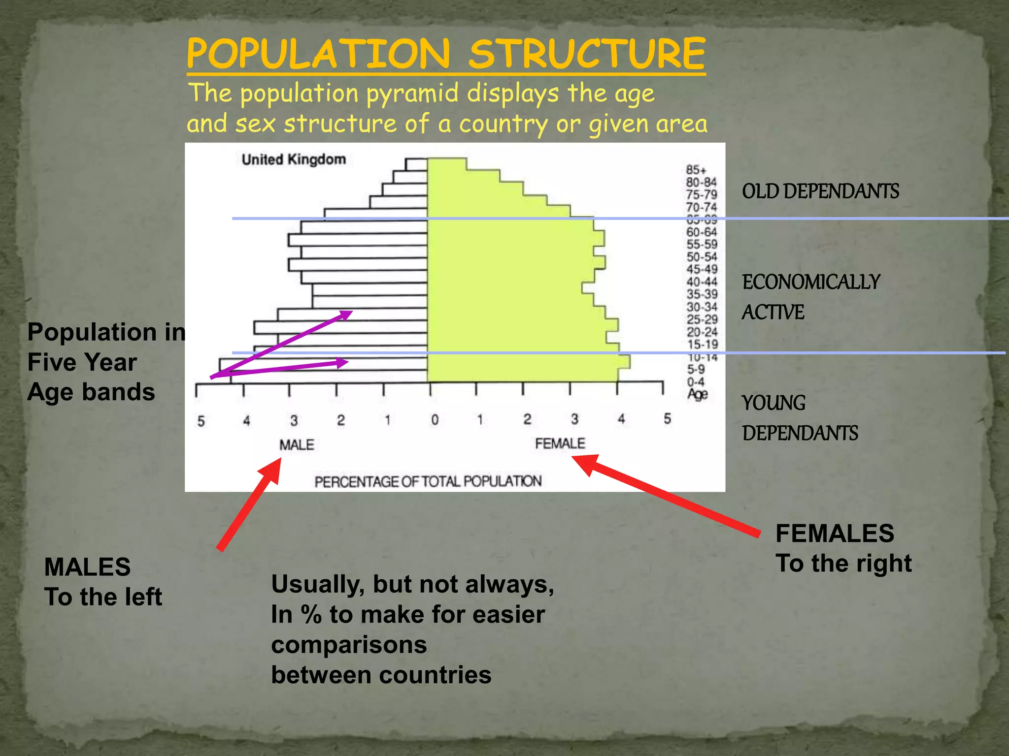demography lecture -2022.pptx