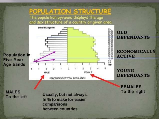 Demography and Family Plannining Lecture | PPTX