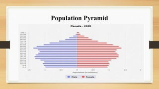 demography presentation canada.pptx