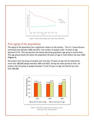 The Demography of Puerto Rico | DOCX