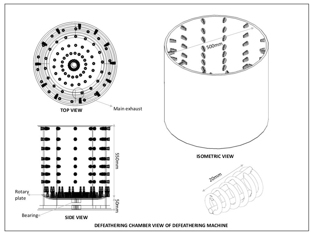 design of defeathering machine for chickens