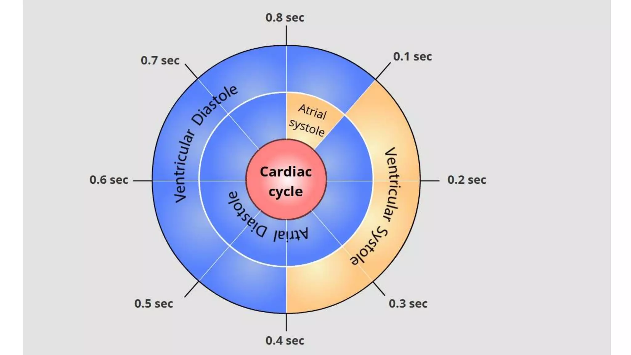 cardiac cycle | PPTX