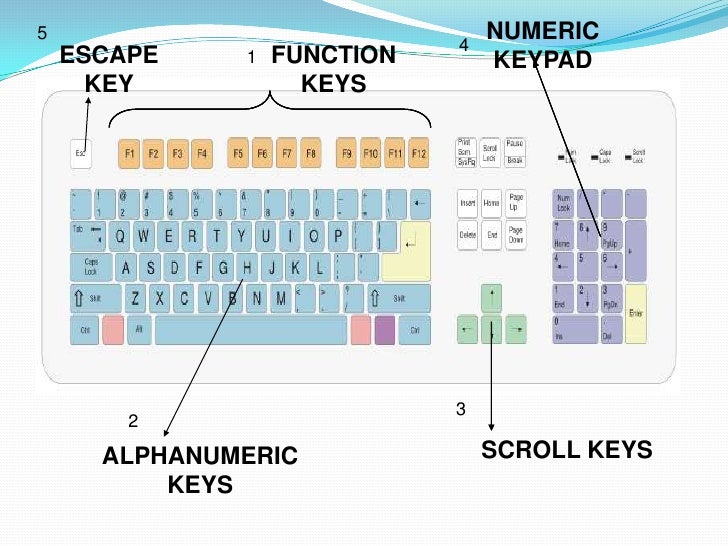 Demo lesson in Typing