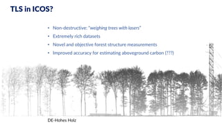 Demol, Miro: Terrestrial laser scanning, the future of forest ...