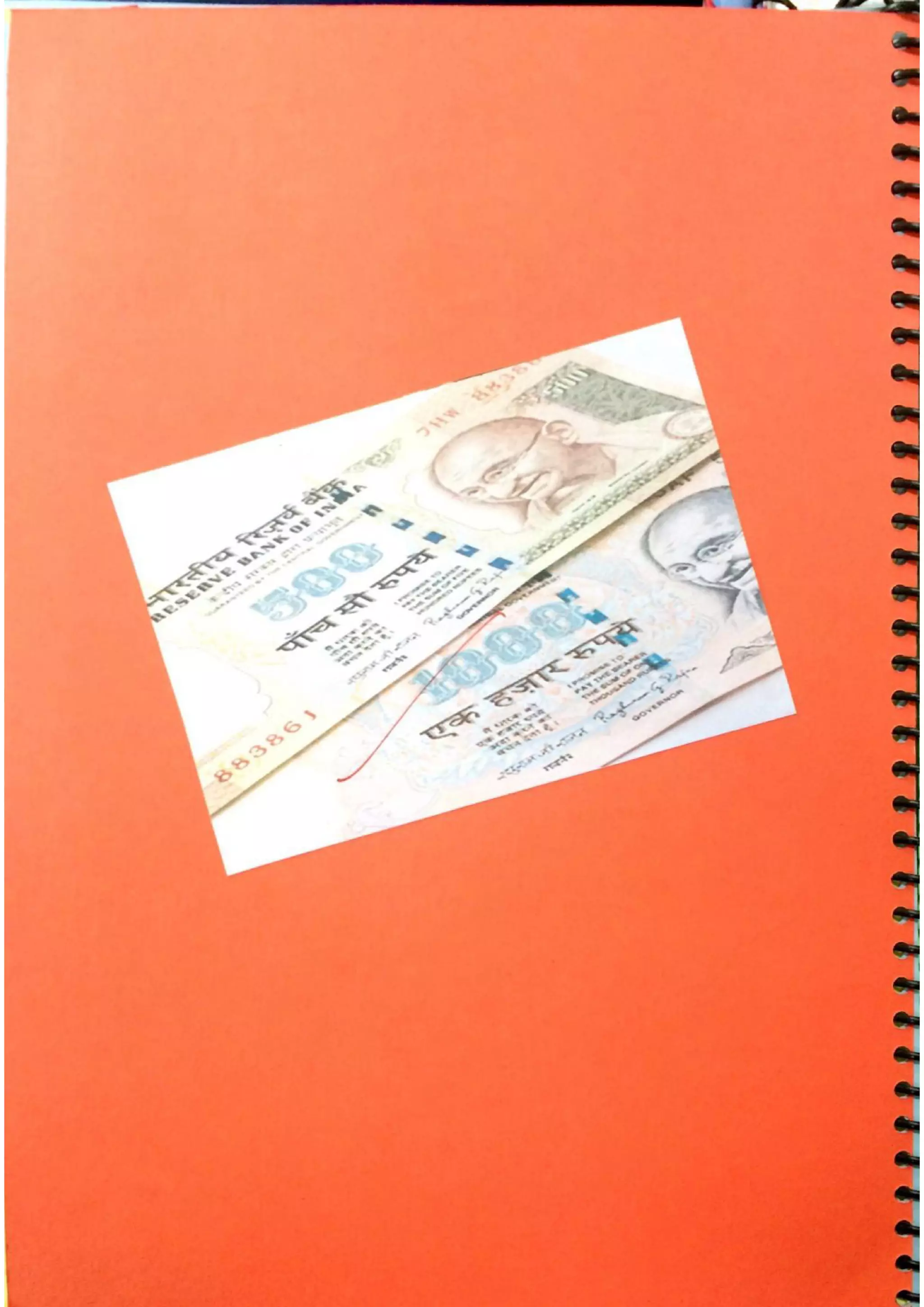 Demonetisation - 1 Economics Project Class 12 CBSE | PDF