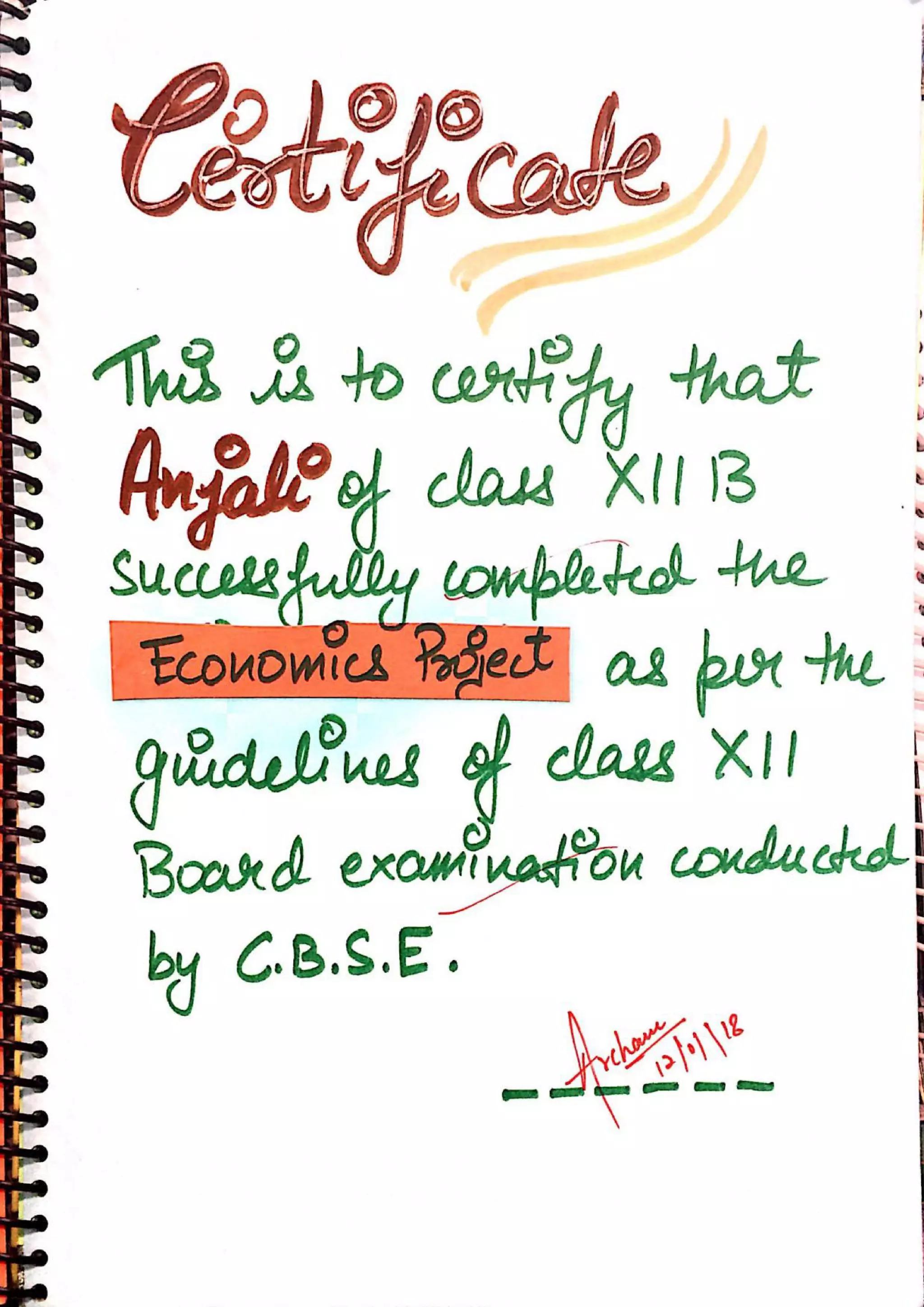 Demonetisation - 1 Economics Project Class 12 CBSE | PDF