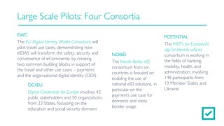 Demonstrating European Digital Identity Wallets | PDF