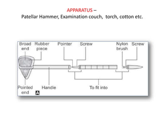 DEMONSTRATION- reflex.ppt