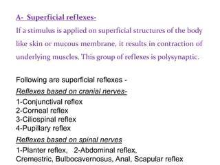 DEMONSTRATION- reflex.ppt