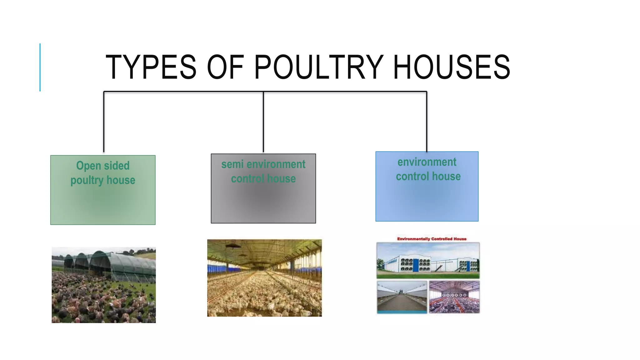 Demonstration of housing and layout plans for poultry [autosaved] | PPTX