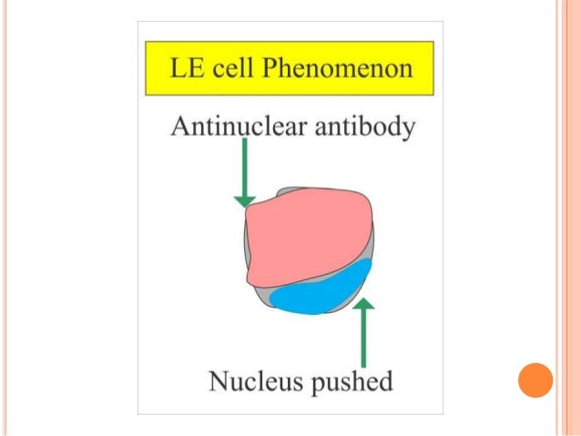 Demonstration of le cells
