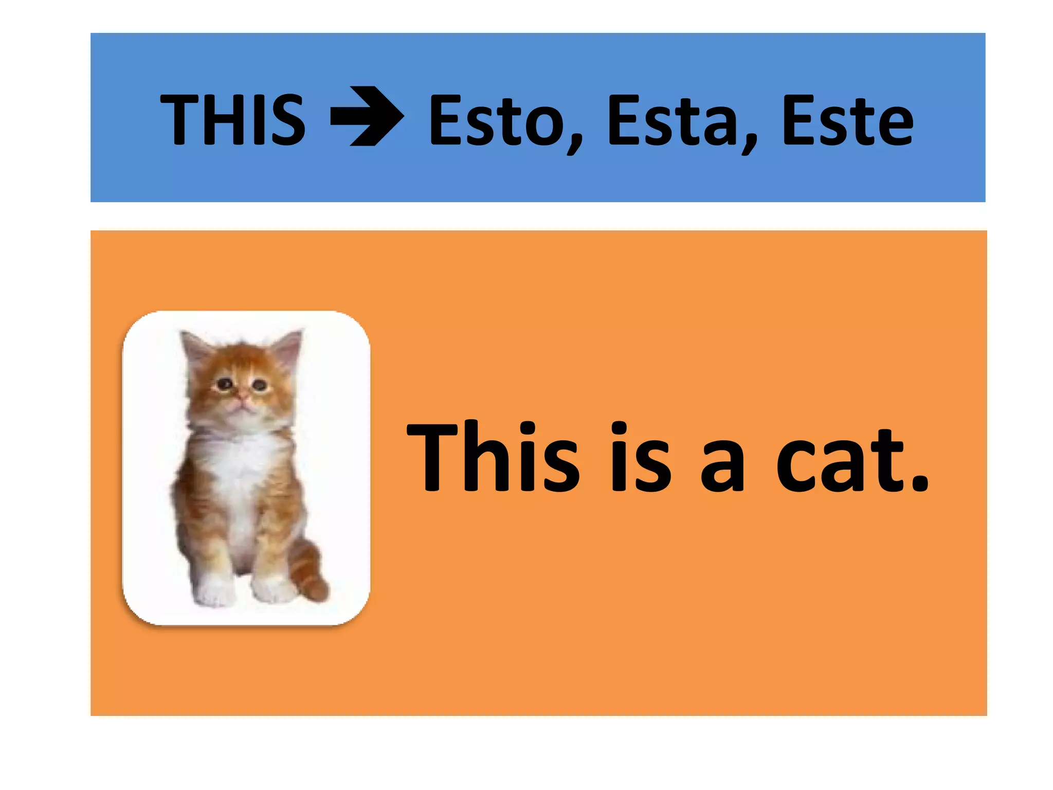 Demonstrative Pronoun This | PPT
