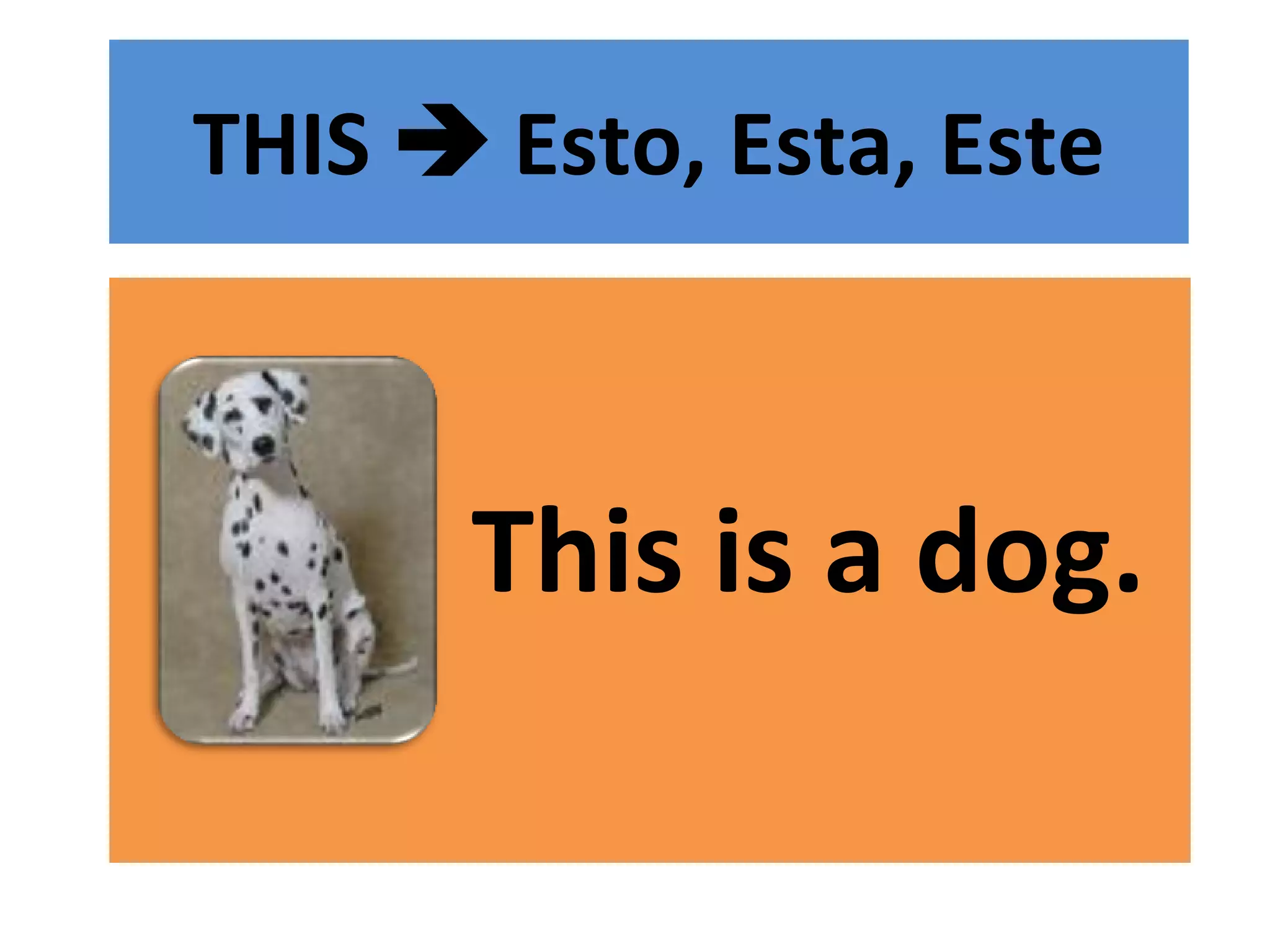 Demonstrative Pronoun This | PPT