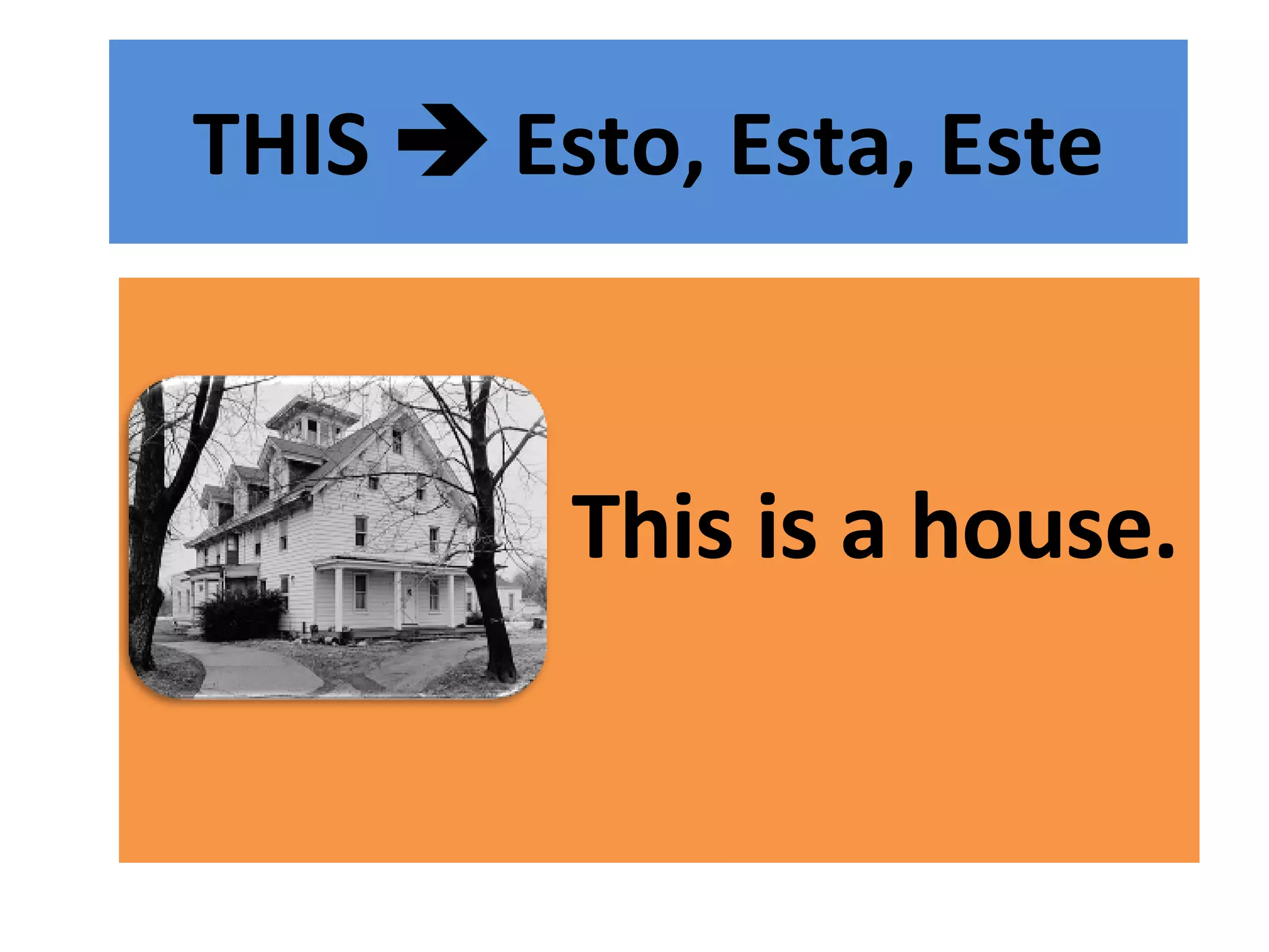Demonstrative Pronoun This | PPT