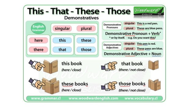 DEMONSTRATIVES AND WAYS TO EXPRESS POSSESSION.pdf