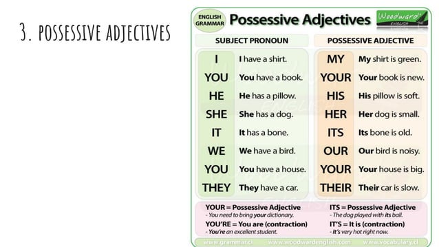 DEMONSTRATIVES AND WAYS TO EXPRESS POSSESSION.pdf