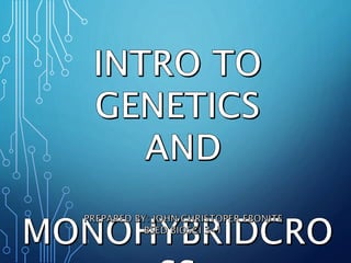 Gamified Intro to Genetics | PPTX