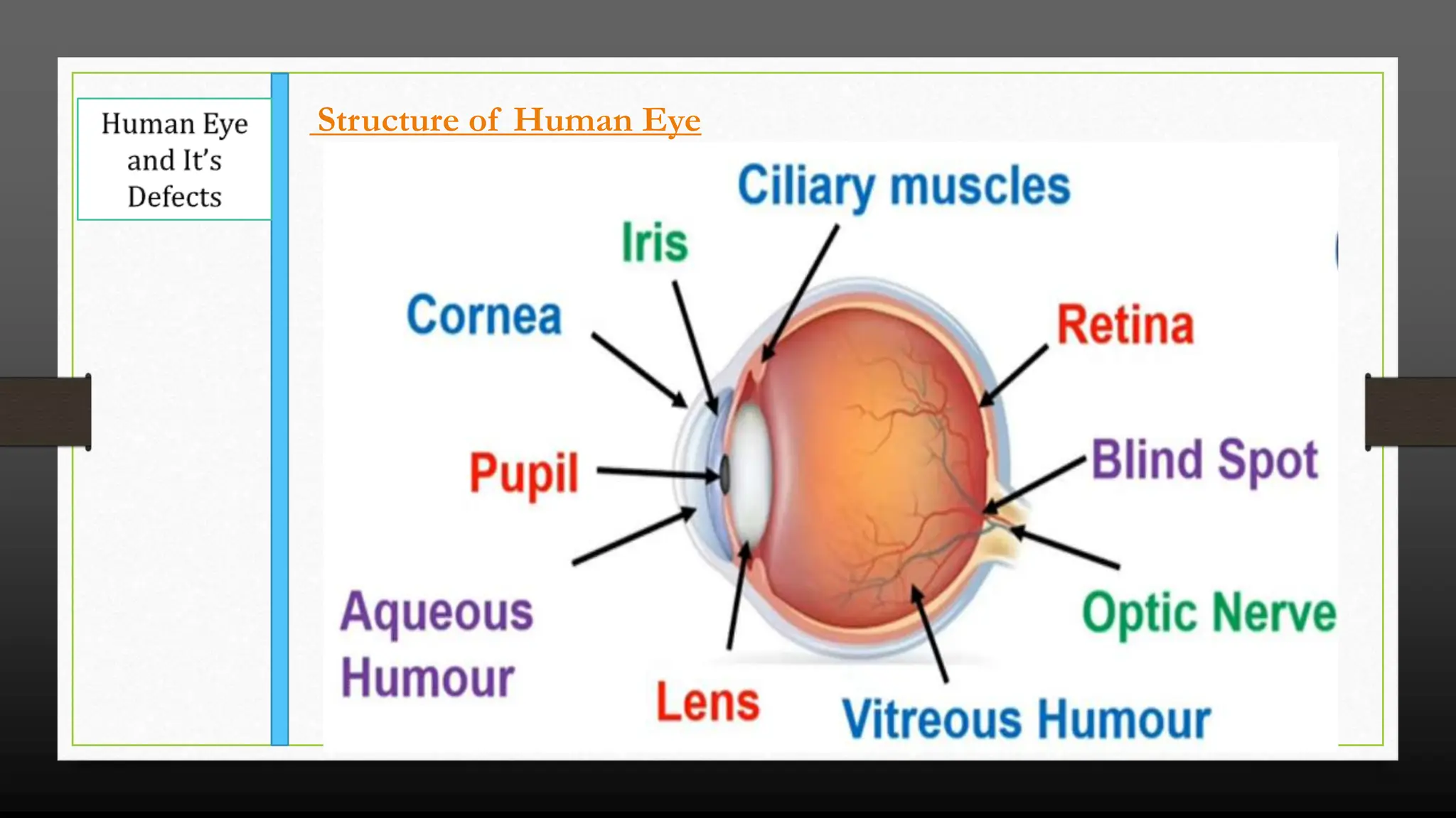 Demo on Human Eye and their parts and detail | PPT