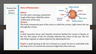 Demo on Human Eye and their parts and detail | PPT