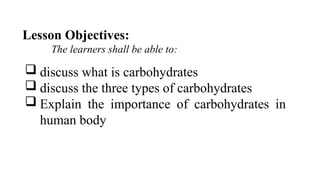 Comprehensive Guide to Carbohydrates: Types, Functions, and Nutrition ...