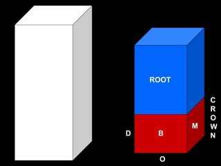 DEMOnstration of carving tooth in waxpy.ppt