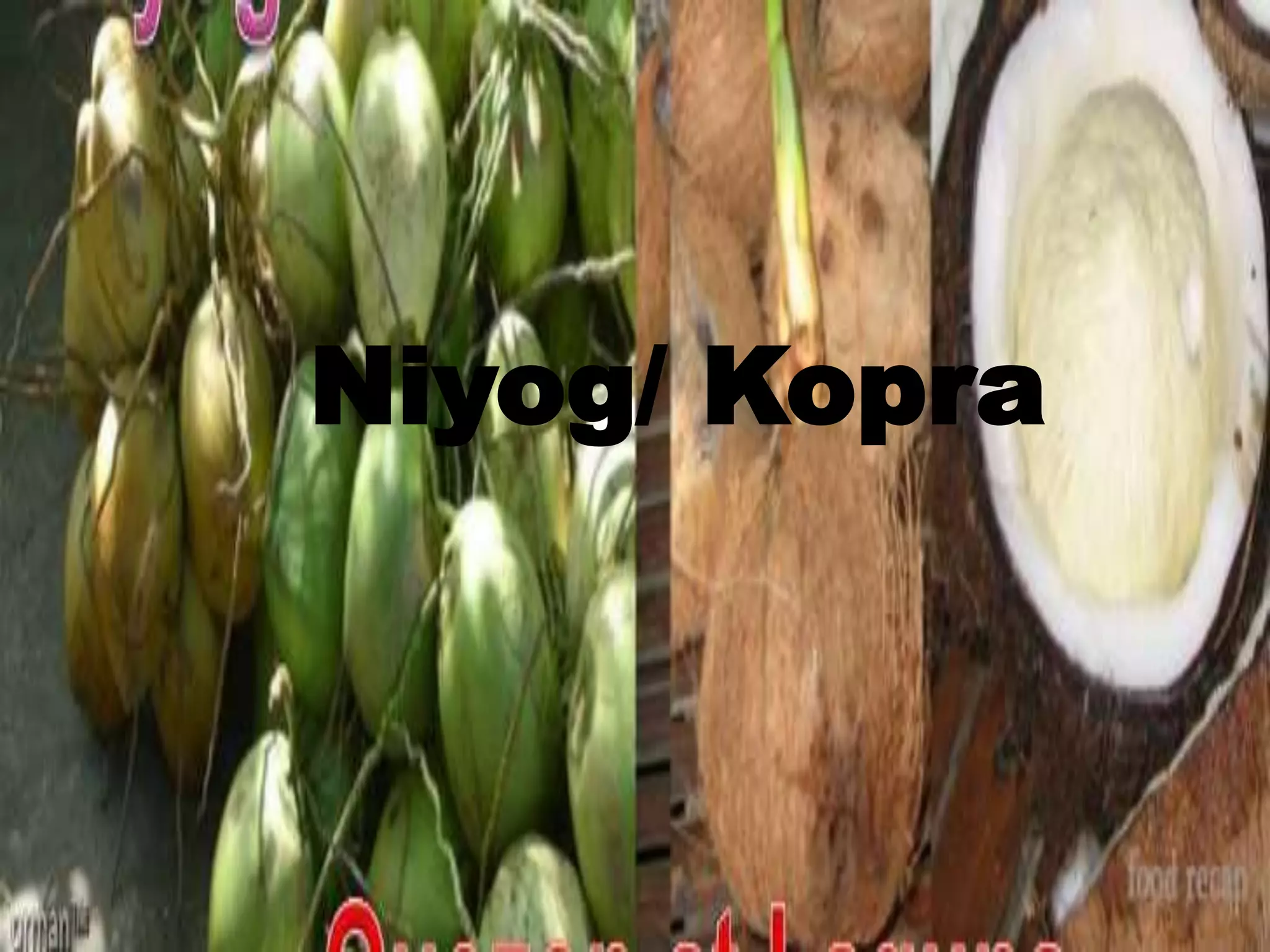 RehiyonV Bikol | PPTX