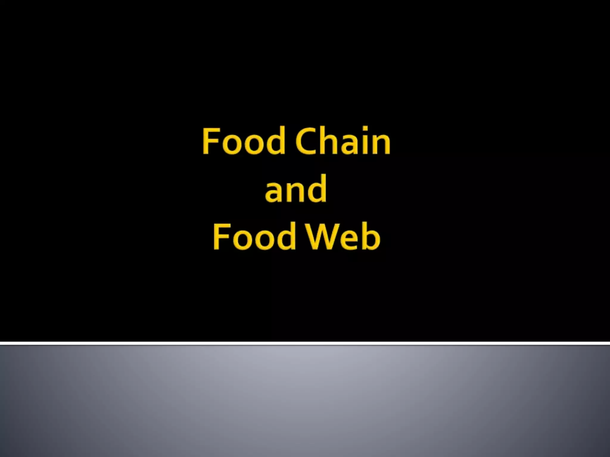 the food web and food chain | PPTX | Nutrition | Healthy Living