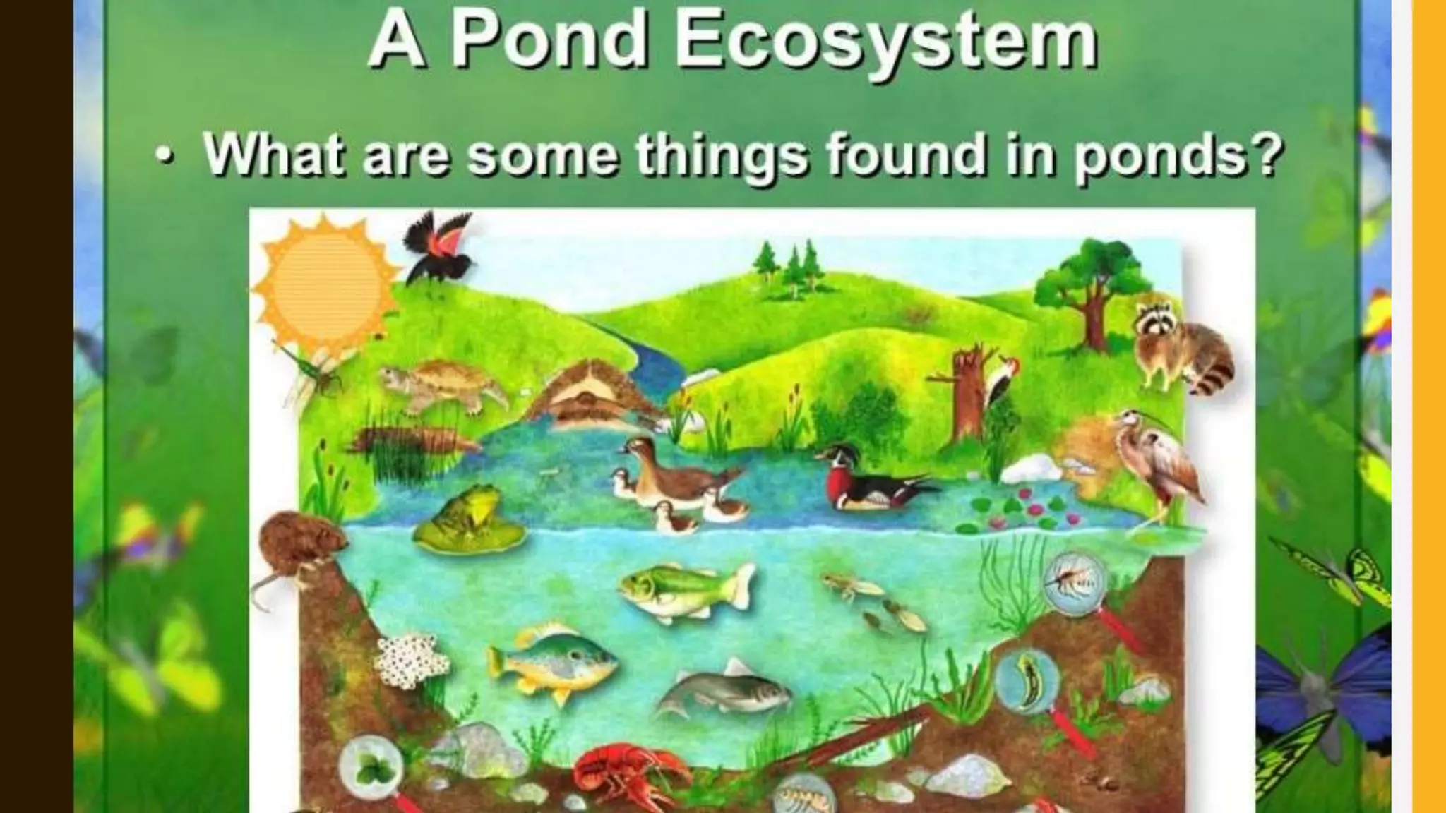 COT Grade 7 Biotic and Abiotic Components of Ecosystem | PPTX