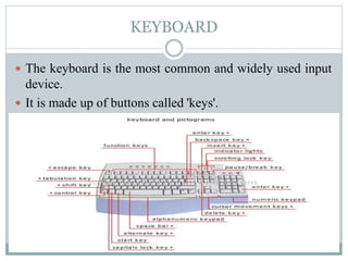 Input and Output Devices of Computers (Powerpoint Presentation) | PPTX
