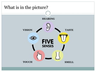 Science 3 Five Senses.pptx