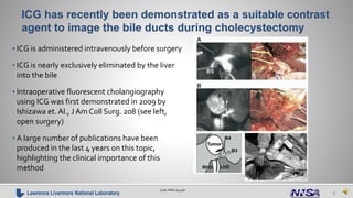 Guided Surgery using Endoscopic Multimodal Imaging by Stavros Demos | PPTX