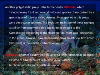 Demospongiae (Demosponges) | PPTX