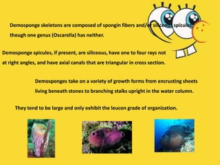 Demospongiae (Demosponges) | PPTX