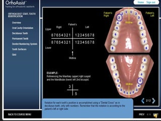 Ortho Assist Demo | PPT