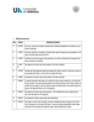 Demostración del fenómeno de la fotosíntesis | DOC