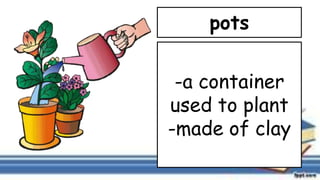 Demonstration possessive pronoun | PPTX