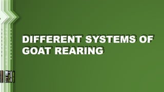 different system of goat rearing powerpoint presentation | PPT