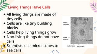 DEMO TEACHING (LIVING THINGS AND NON-LIVING THINGS GRADE 3).pptx