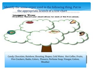 Demo teaching science3 | PPTX