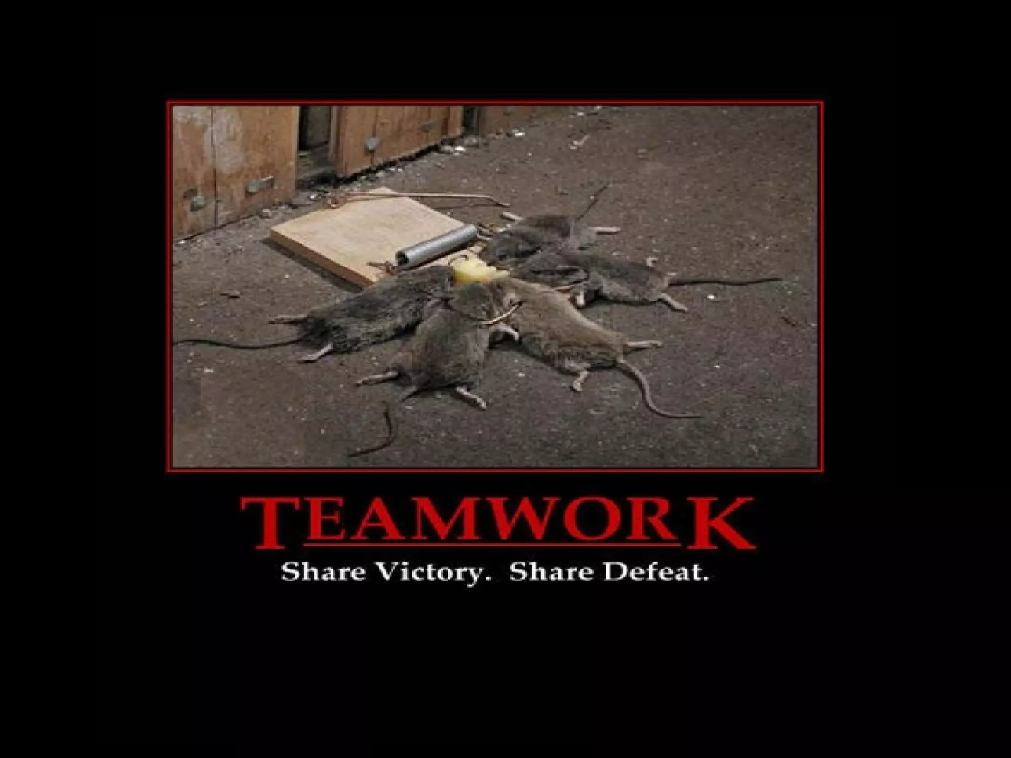 Demotivational Posters | PPT