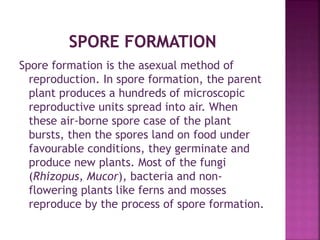 Asexual Reproduction | PPTX