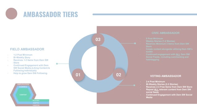 Dem SW Civic Ambassador Program.pptx