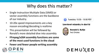 Baby Demuxed's First Assembly Language Function | PDF