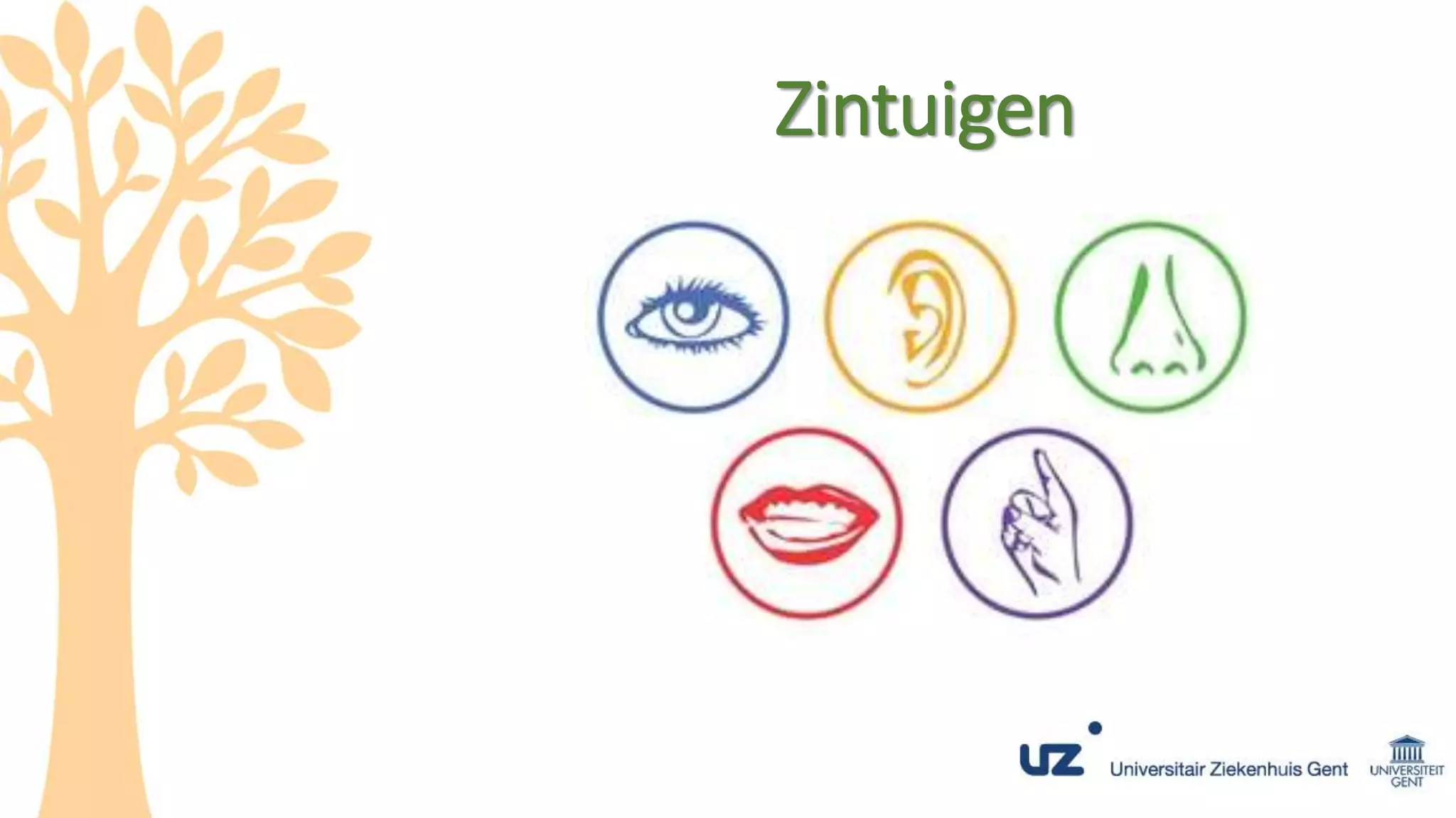 Demuynck Jodie Presentatie | PPTX