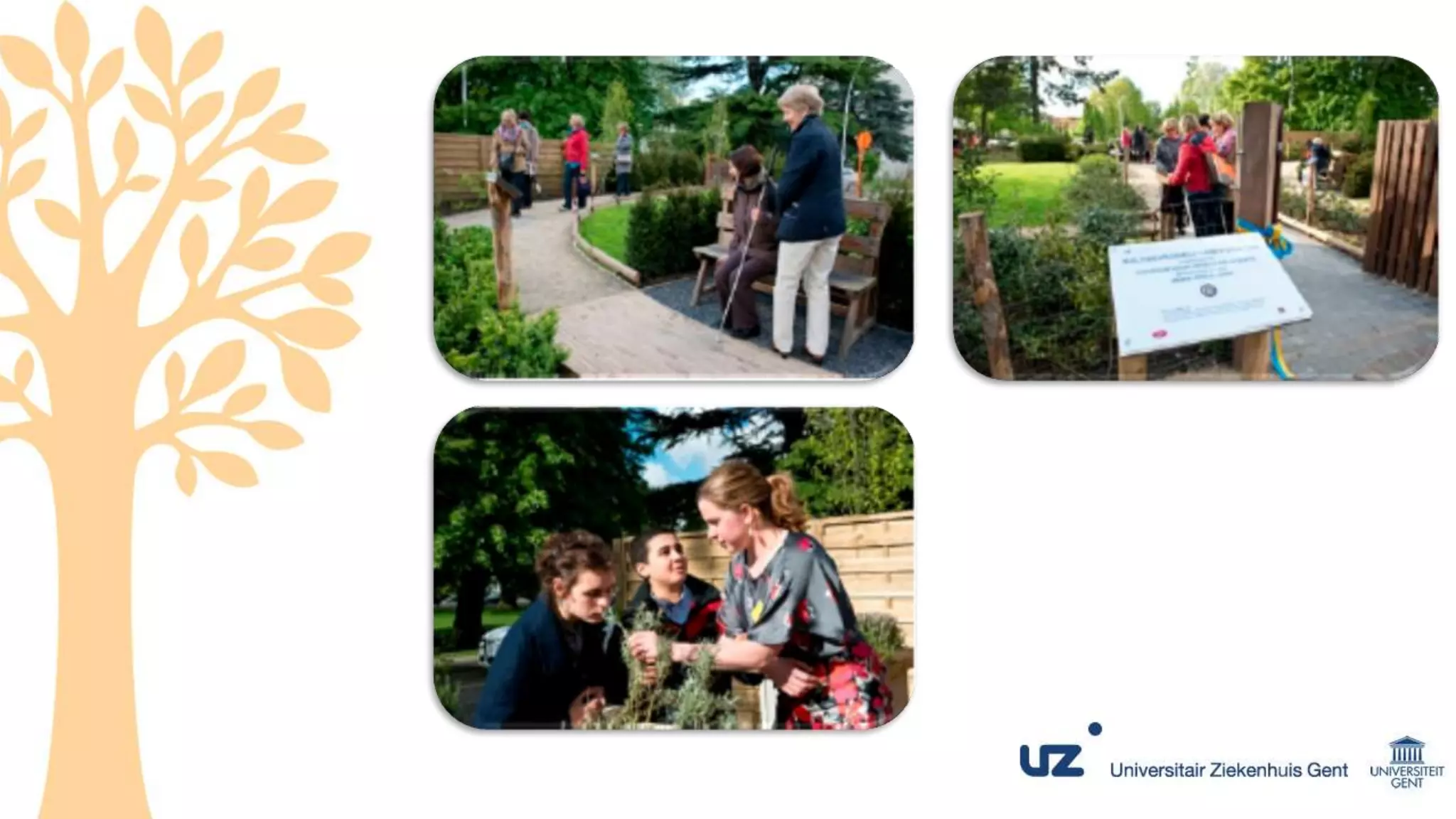 Demuynck Jodie Presentatie | PPTX