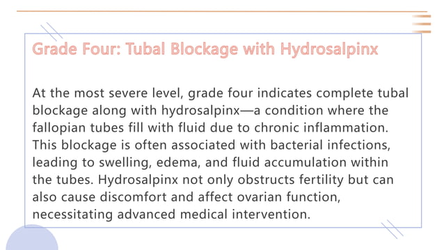 Demystifying Fallopian Tube Blockage- Grading the Differences and ...