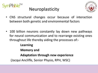 Demystifying neuroplasticity | PPT