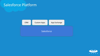 Demystifying salesforce for developers | PDF | Cloud Computing | Internet